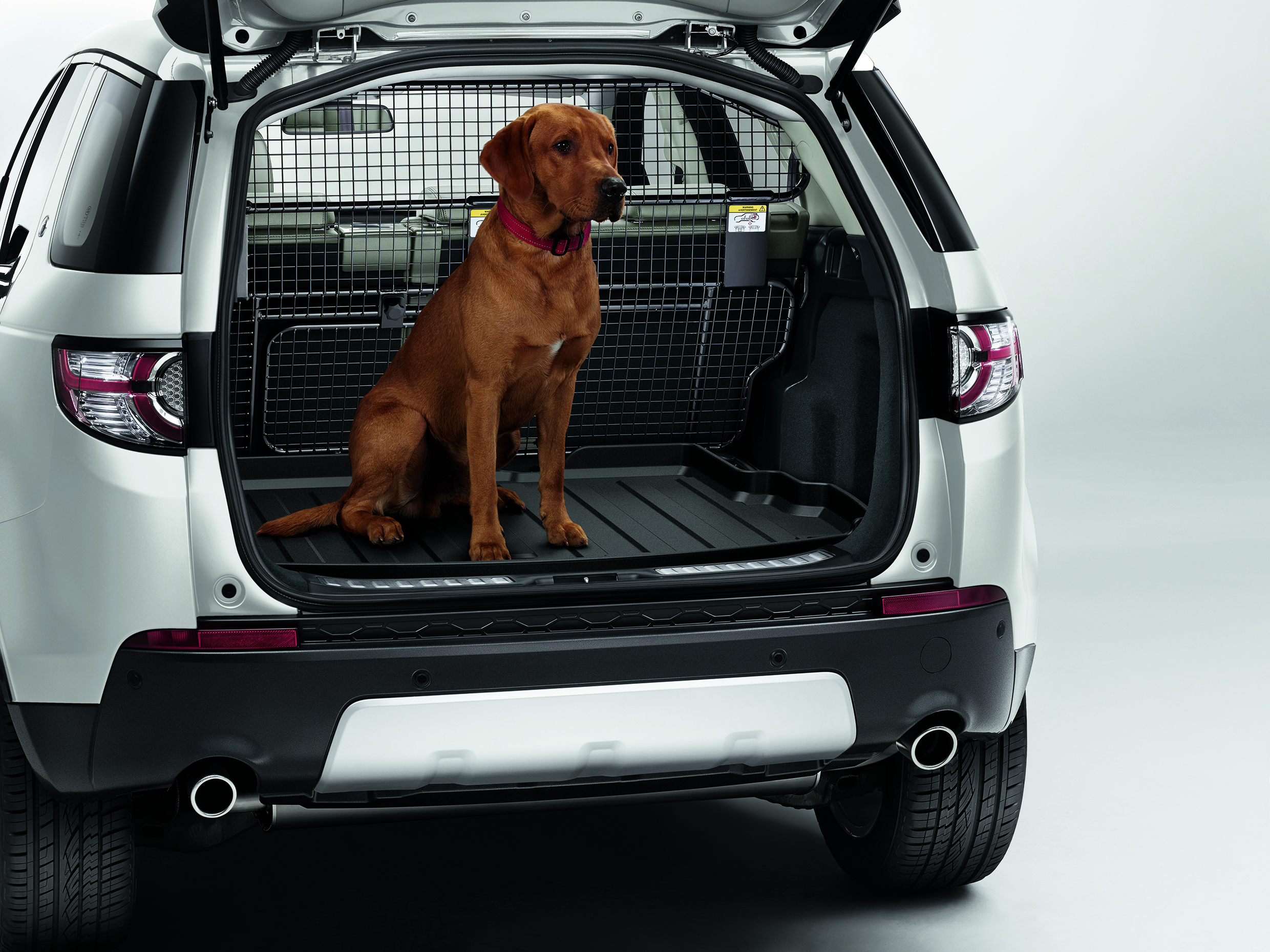 LAND ROVER CELEBRATES YEAR OF THE DOG WITH CANINE FRIENDS | Land Rover ...