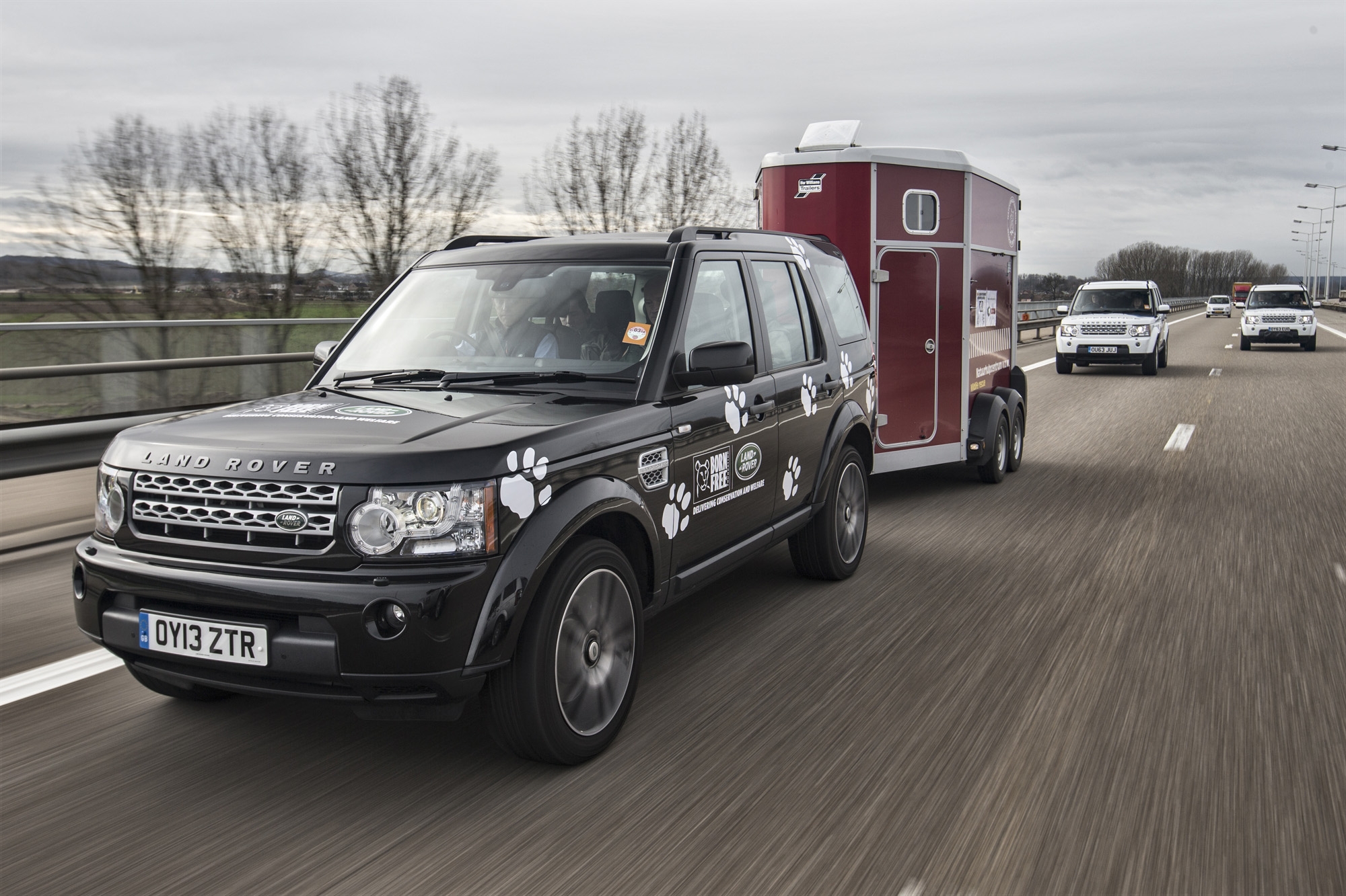 The Born Free Foundation In Partnership With Land Rover Help Simba The ...