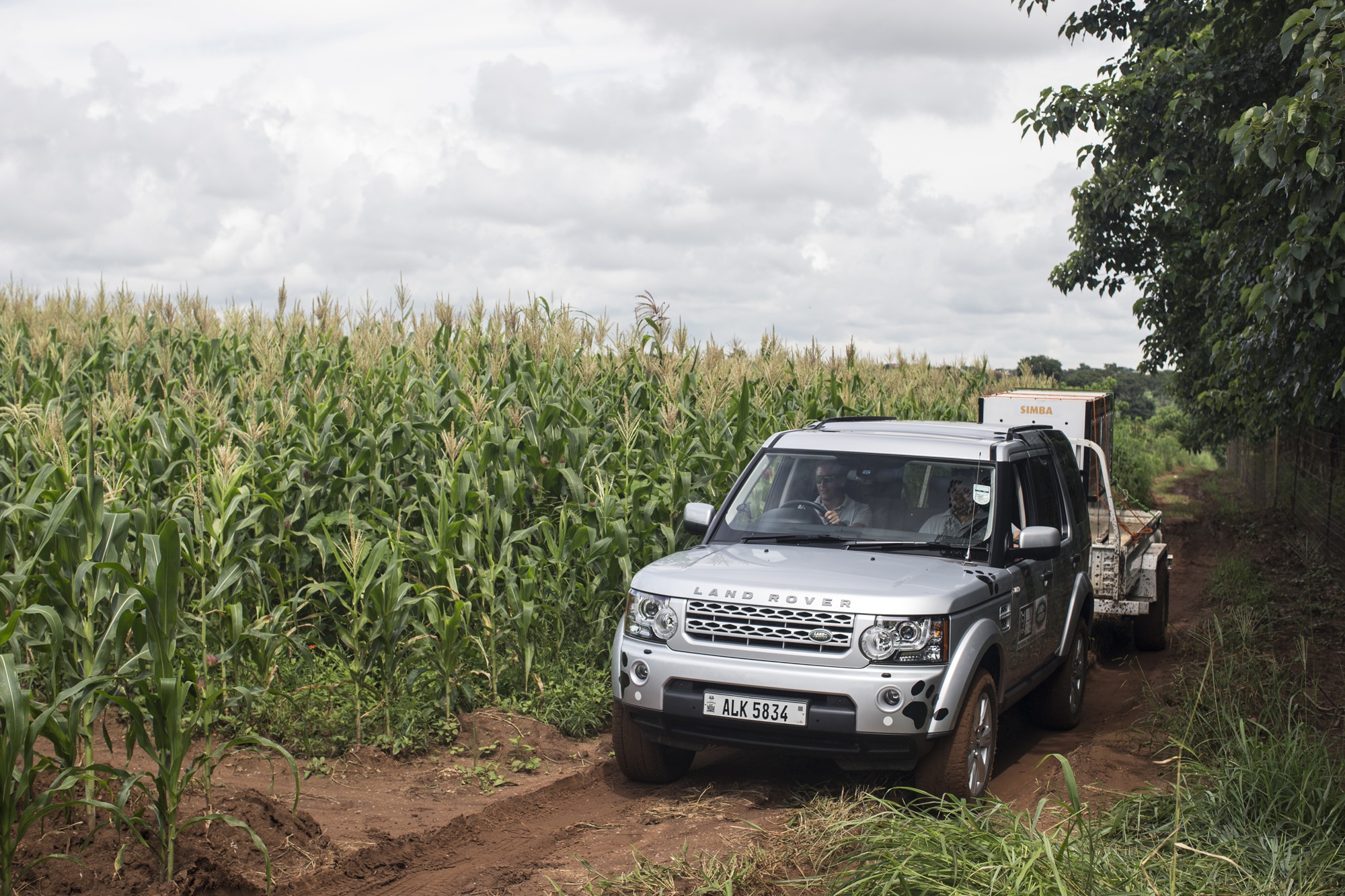 The Born Free Foundation In Partnership With Land Rover Help Simba The ...