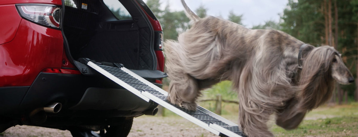 LAND ROVER’S FIVE-STAR DOG-FRIENDLY PET PACKS | Land Rover Media Newsroom