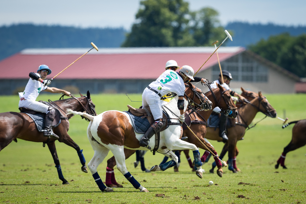 Land Rover Polo Team will in der neuen Polo-Saison zwei Titel ...