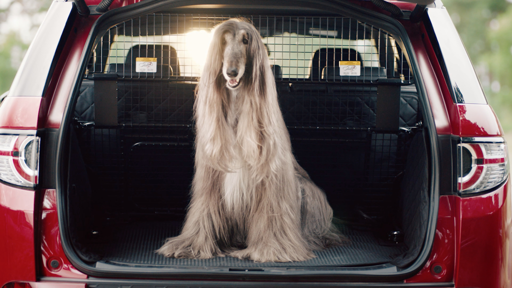 LAND ROVER’S FIVE-STAR DOG-FRIENDLY PET PACKS | Land Rover Media Newsroom