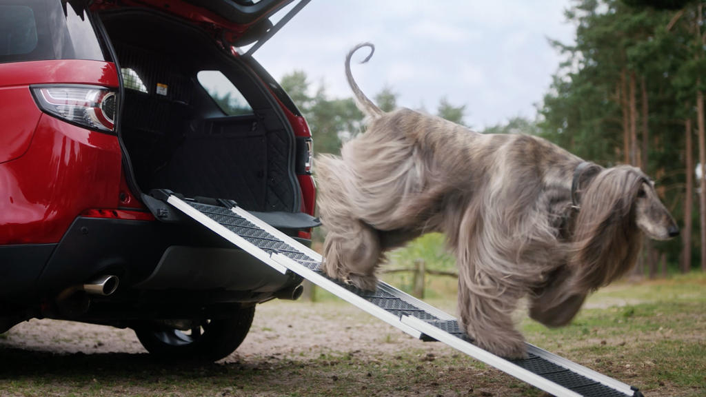 LAND ROVER ANNOUNCES DOG-FRIENDLY PET PACKS | Land Rover Media Newsroom