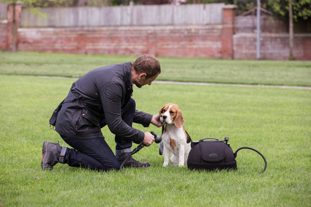 LAND ROVER’S FIVE-STAR DOG-FRIENDLY PET PACKS | Land Rover Media Newsroom