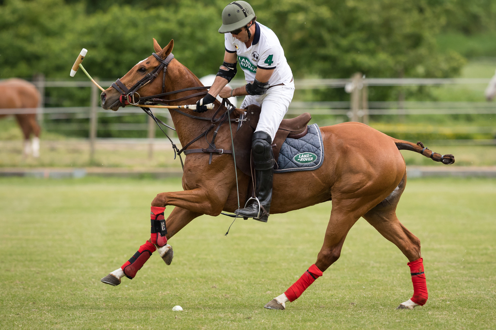 Land Rover Polo Team: Erster Turniersieg bei German Polo Tour 2016 ...